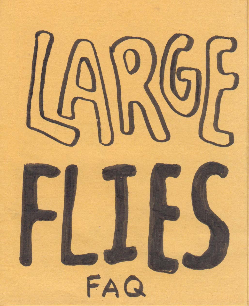 large flies faq – Maureen Kahn