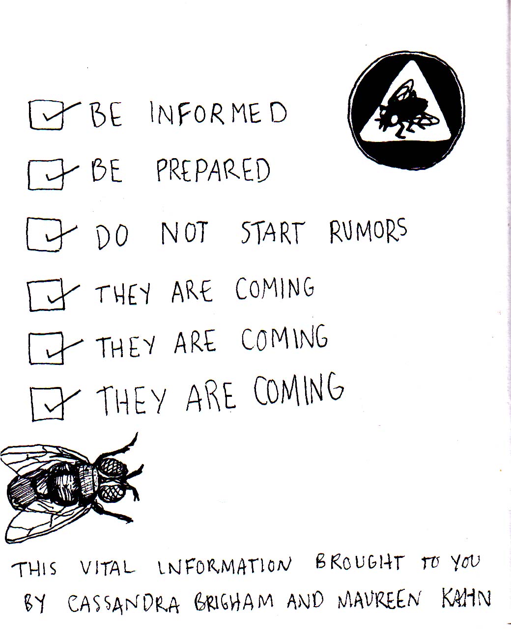 large flies faq – Maureen Kahn