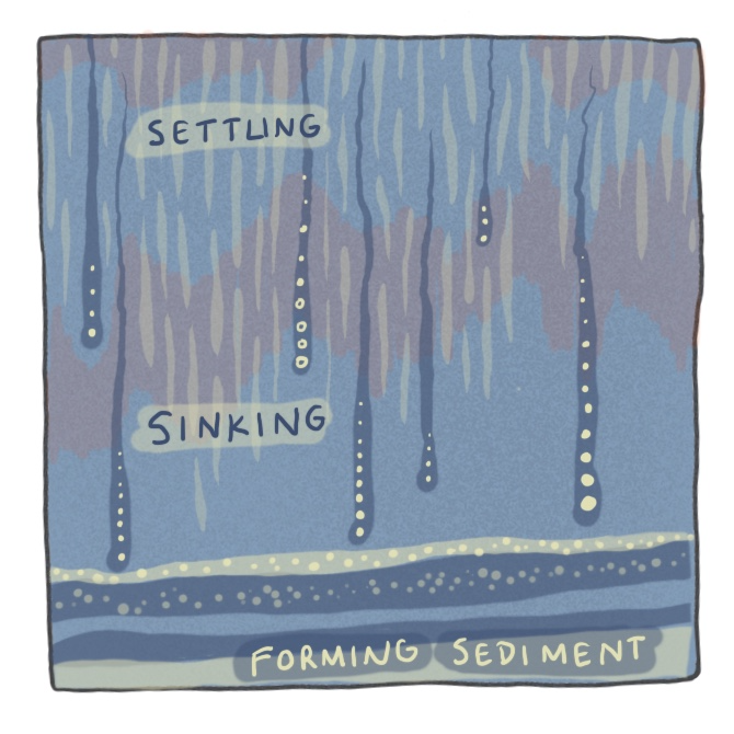 comics – Maureen Kahn