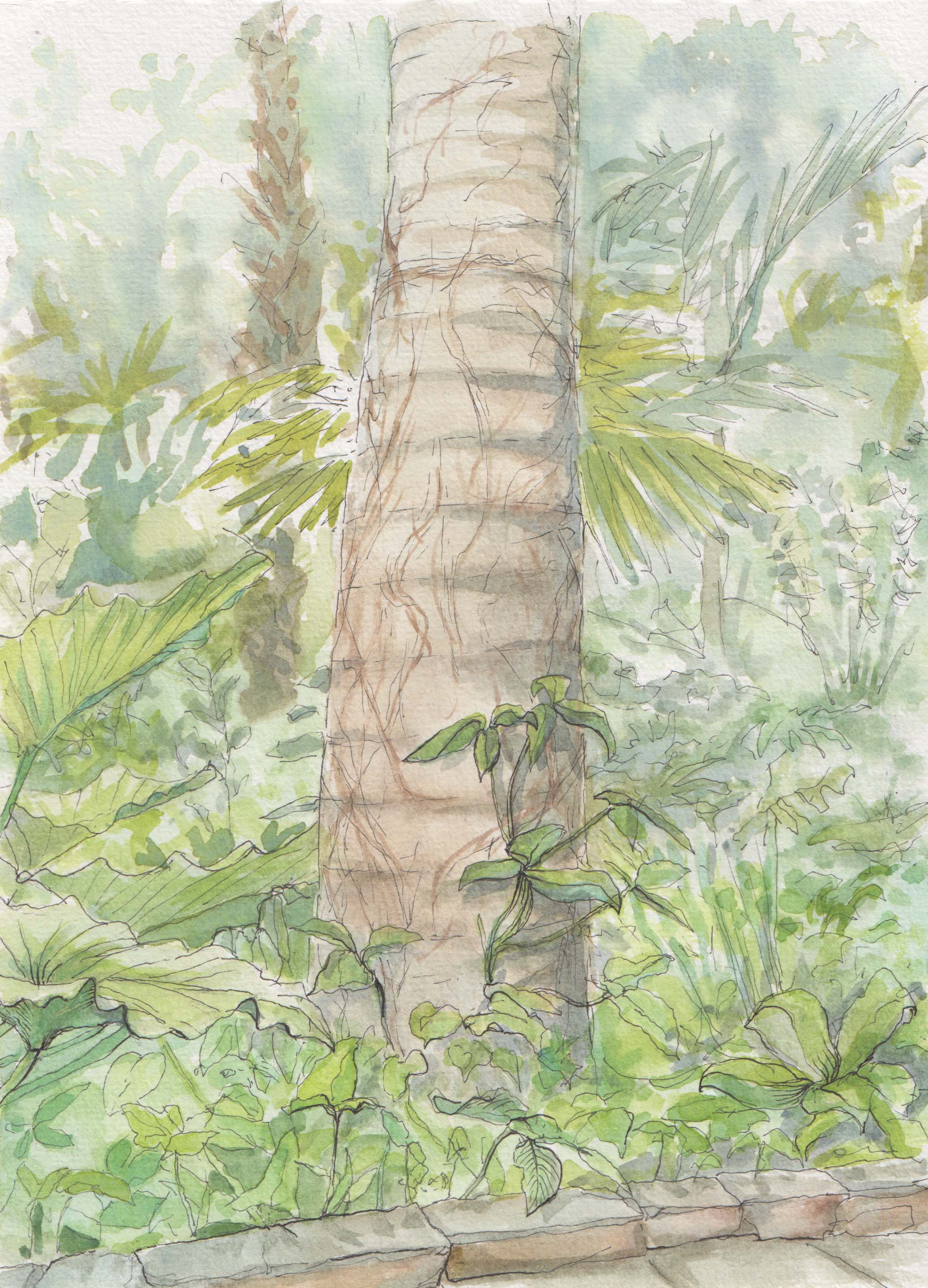 illustration – Maureen Kahn